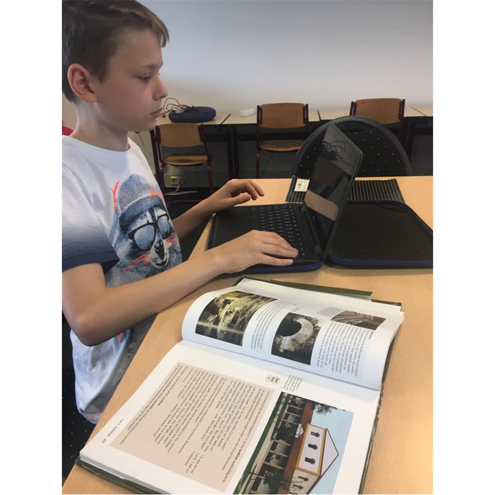 HBplus Dagbesteding : Groepssamenstelling